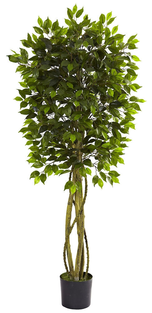 Weeping Fig Ficus Indoor Outdoor Tree by Nearly Natural | 5.5 feet ...